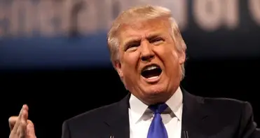 Runt Of The Web - Page 56 of 169 - The World's Greatest Humor Site